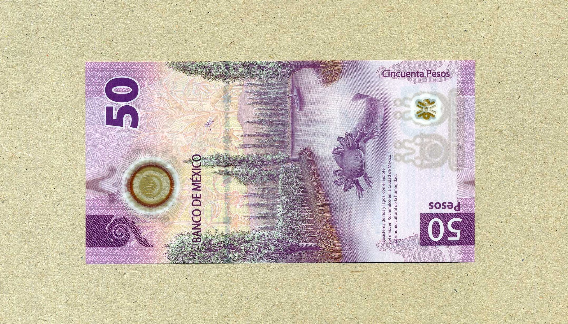 Mexico 50 Pesos 31.3.2021 P.132 - Polymer - unc / GEM UNC | MA-Shops
