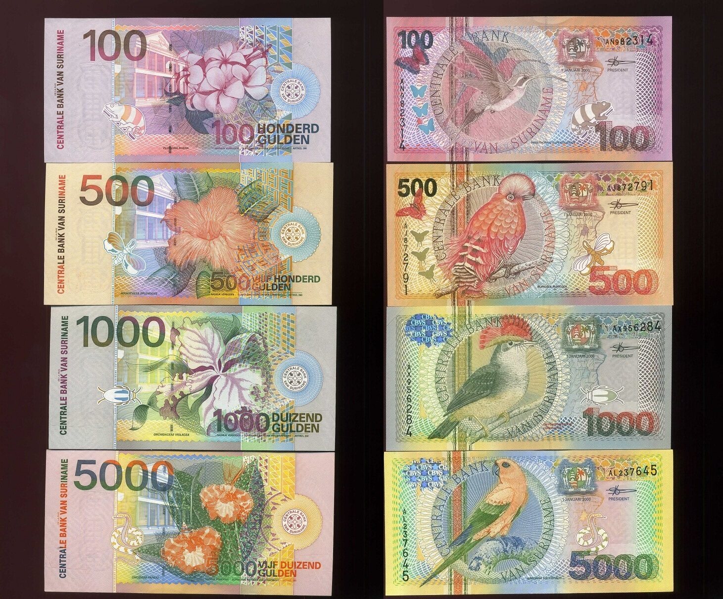 Suriname 100-5.000 Gulden 01.1.2000 P.149-152 unc / GEM UNC | MA-Shops