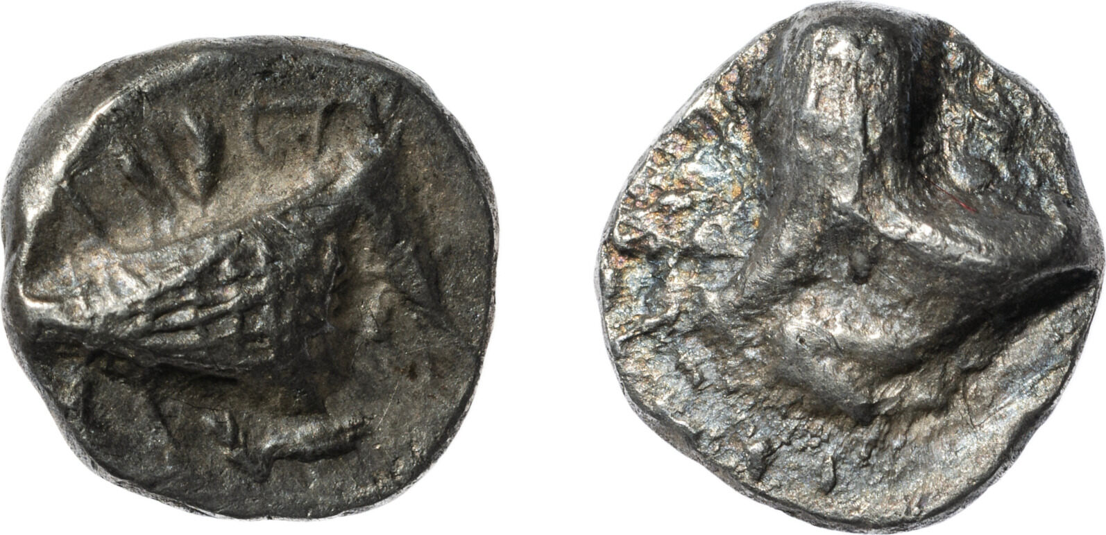 Celtic Celts Boii - octopus / water bird type obol, western central ...