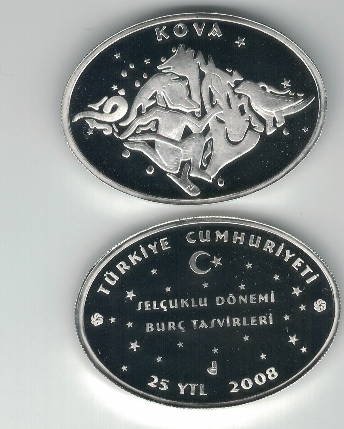 LIRA 2008 TURKEY SILVER PROOF 25 NEW COIN YEAR KM#1212 AQUARIUS | MA-Shops