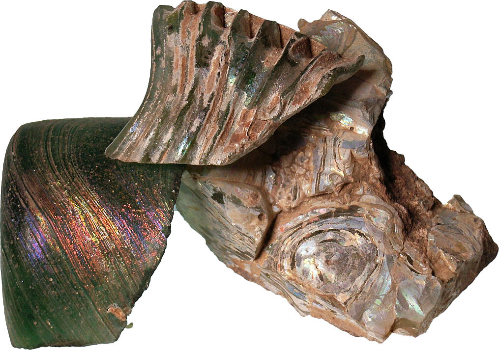 Roman glass fragments, iridescent, estate from France, Roman collection ...