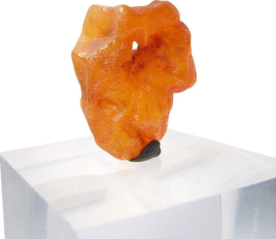 RARITY: Beautiful amber pendant from the Stone Age / Neolithic | MA-Shops