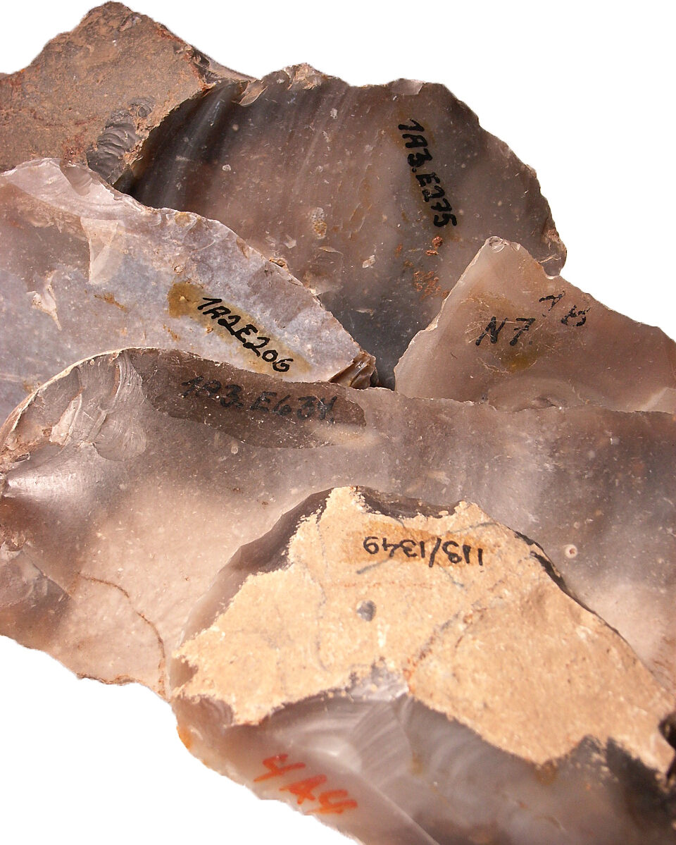 Neolithic Ertebølle culture Stone Age collection, Northern Europe Stone ax tools | MA-Shops