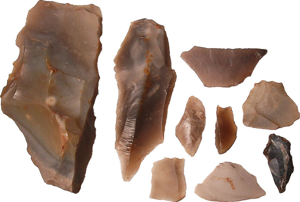 Neolithic Ertebølle culture Stone Age collection, Northern Europe Stone ax tools | MA-Shops