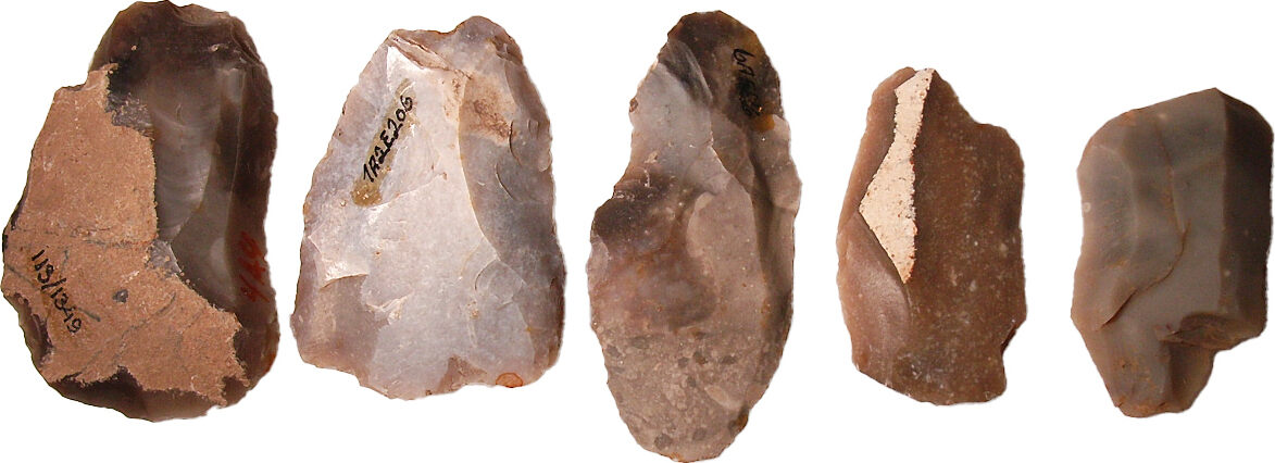 Neolithic Ertebølle culture Stone Age collection, Northern Europe Stone ax tools | MA-Shops