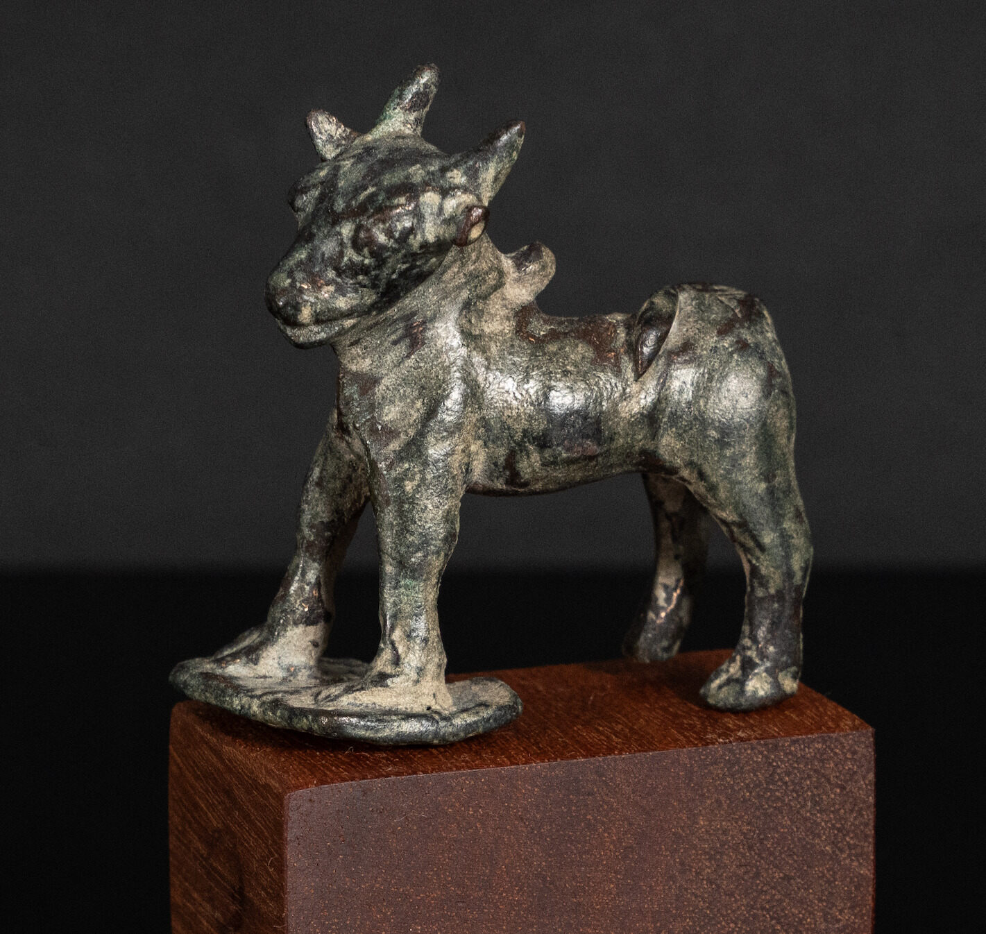 Roman bull figure made of bronze, excellent, collection of antiques ...