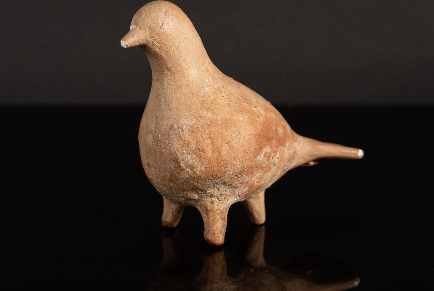 Hellenistic dove made of terracotta Antique collection of ancient Greek ...