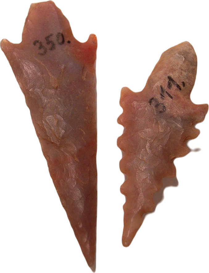 Neolithic arrowheads from North Africa in a rare form Stone Age ...