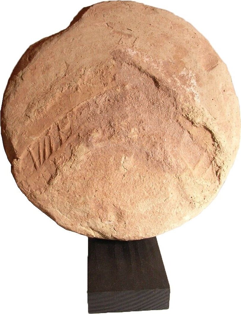 Large Roman antefix with Medusa head - Roman collection RARE | MA-Shops