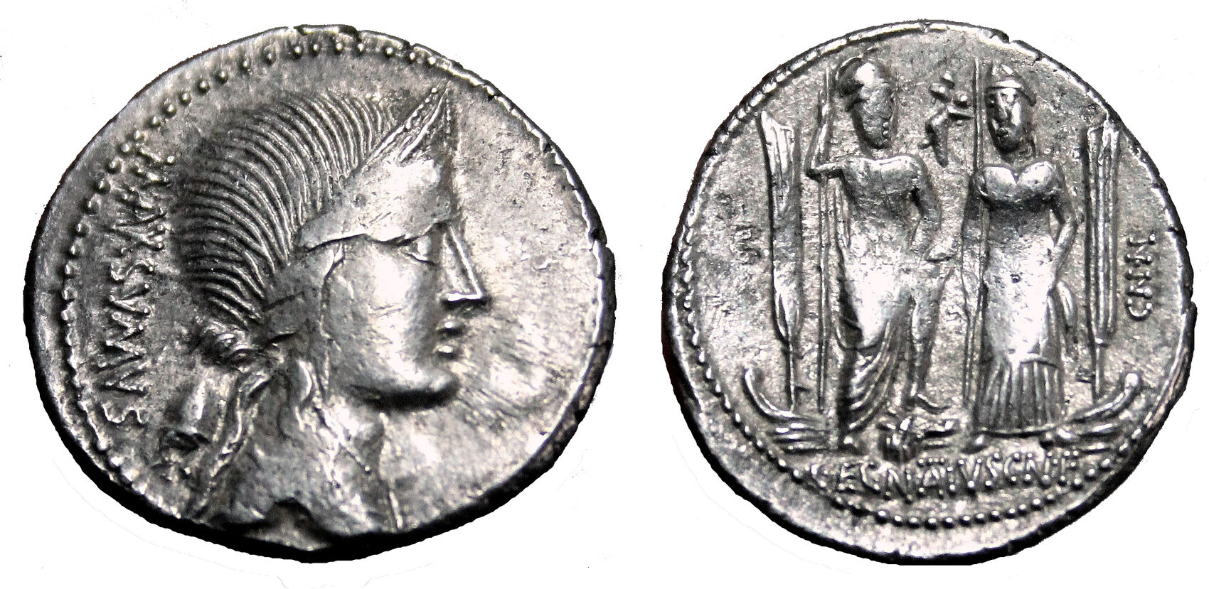 Roman Republic Cn. Egnatius Cn. f. Cn. n. Maxsumus AR Denarius. EF-/VF+ ...