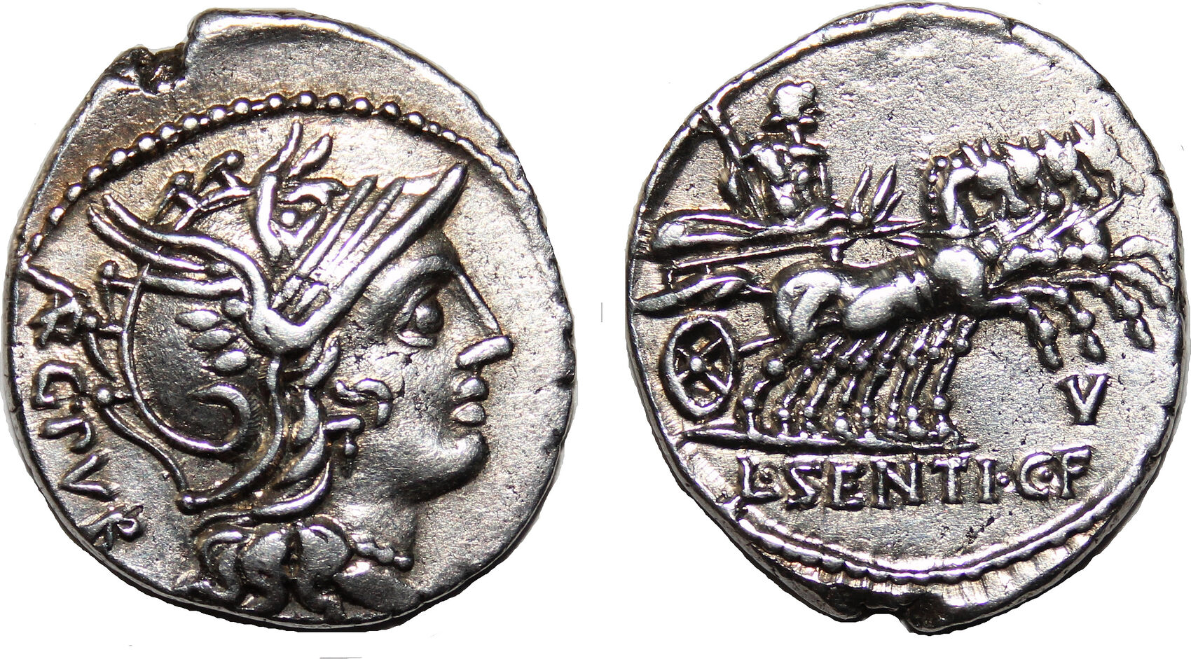 Roman Republic L. SENTIUS C.F. AR Denarius. EF. 101 BC. Rome mint. | MA ...
