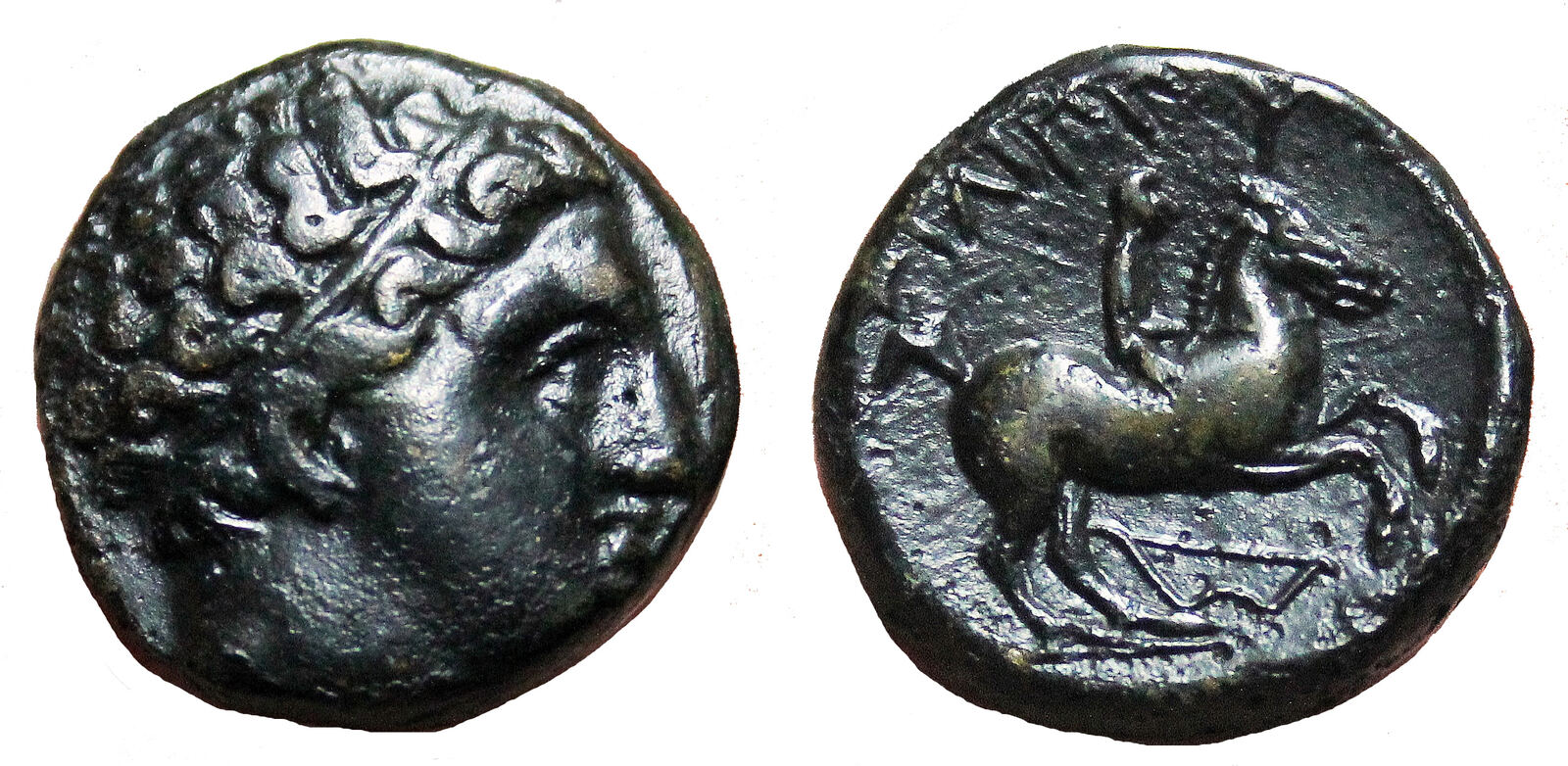 Greek 359-336 BC PHILIP II of Macedon AE16. EF/EF-. Apollo - youth on ...