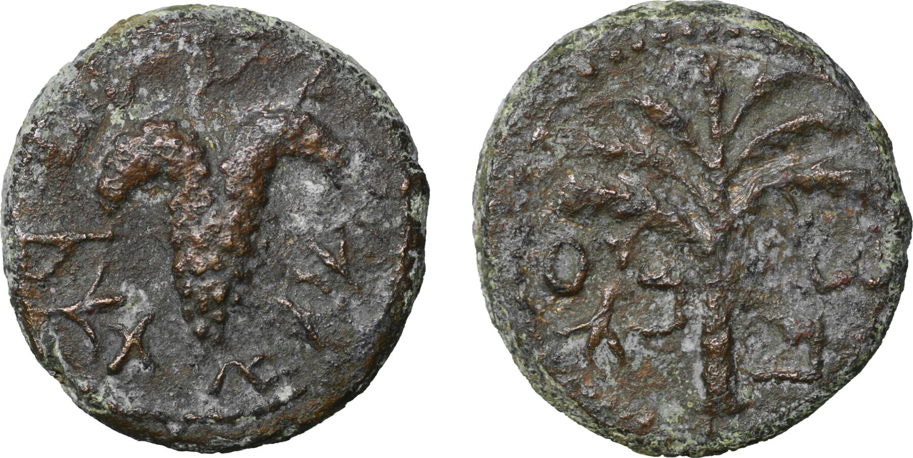 Judaea Bronze AD 132-135 Bar Kokhba Revolt Rare. XF | MA-Shops