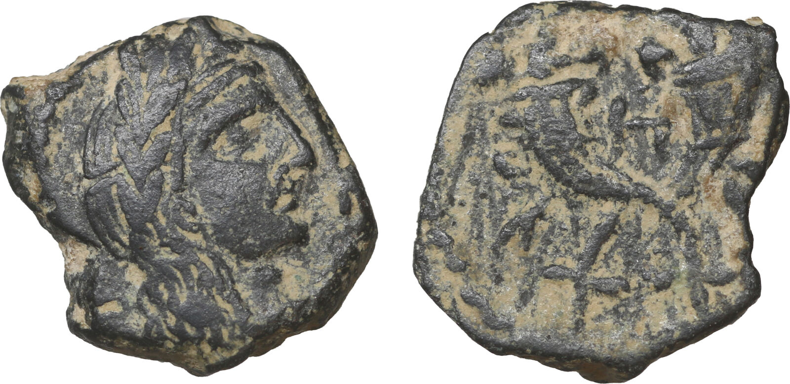 Kingdom of Nabataea Bronze 9 BC - 40 AD Aretas IV VF+ | MA-Shops