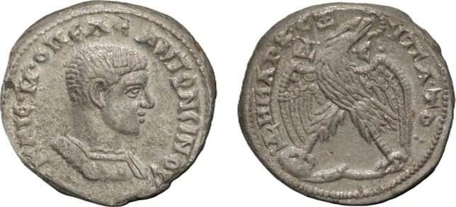ISRAEL, Roman Tetradrachm | MA-Shops