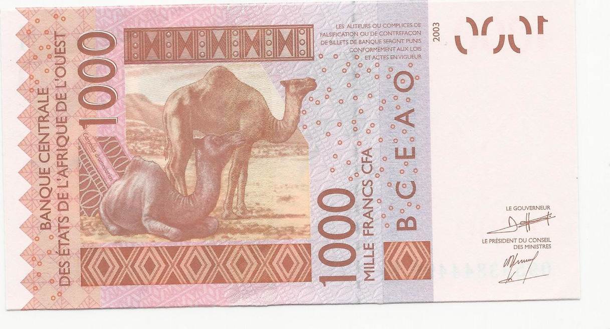 Niger 1000 francs (2003) P.neuf | MA-Shops