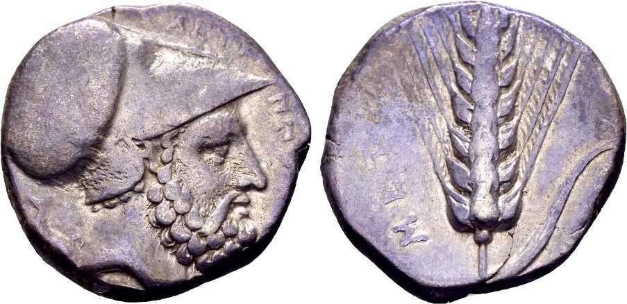 Greek Didrachme / Nomos Lucania, Metapontum. AR Didrachm or Nomos c ...