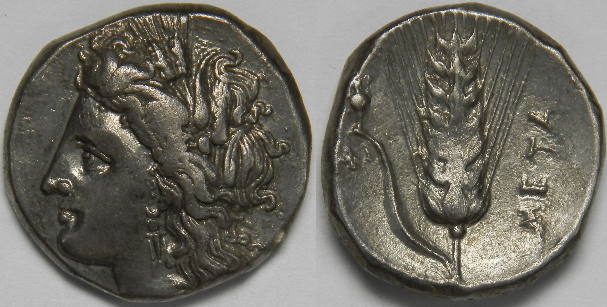 Lucania AR Nomos circa 330-290 BC Metapontion XF | MA-Shops