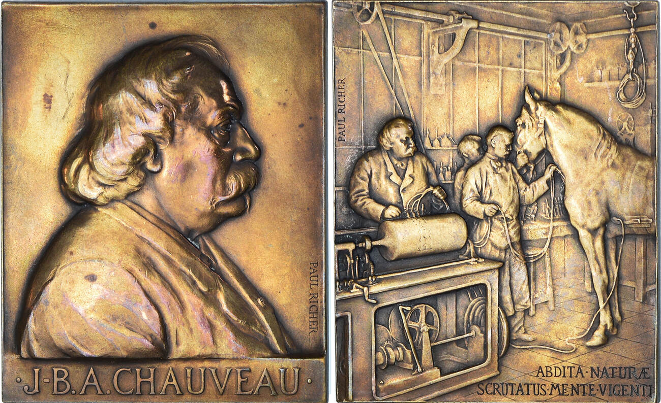 France Medaille Chauveau - Vétérinaire et cheval, Fauna, Paul Richer AU ...