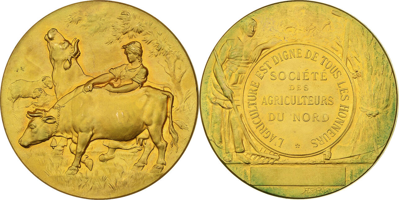 France Medaille Société des Agriculteurs du Nord, Gilt Bronze, Rivet AU ...