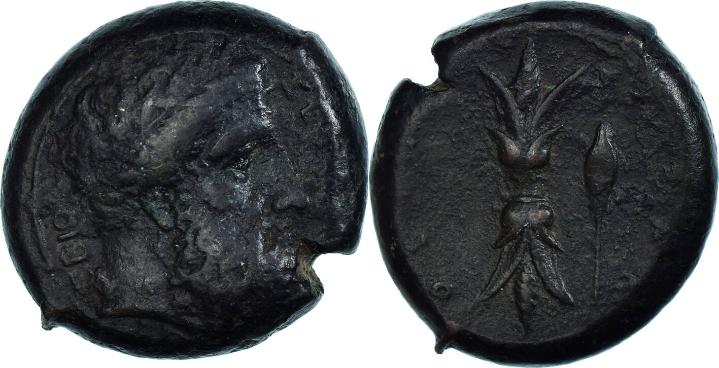 Hemidrachm ca. 344-338 BC Syracuse Coin, Sicily, Syracuse, Bronze EF(40 ...