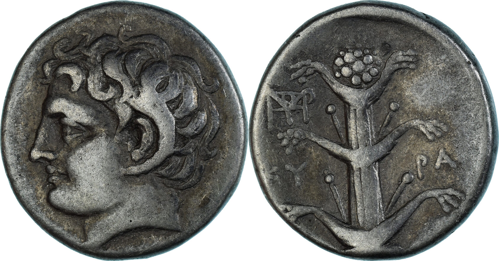 Didrachm ca. 294-275 BC Cyrene Kyrenaica, Magas, Kyrene, Silver, BMC ...