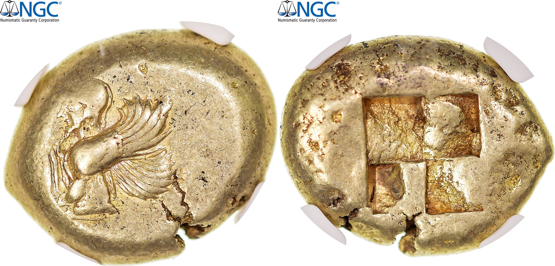 Stater ca. 550-450 BC Cyzicus Mysia, Kyzikos, Electrum, NGC Ch VF 3/5-4/5 | MA-Shops