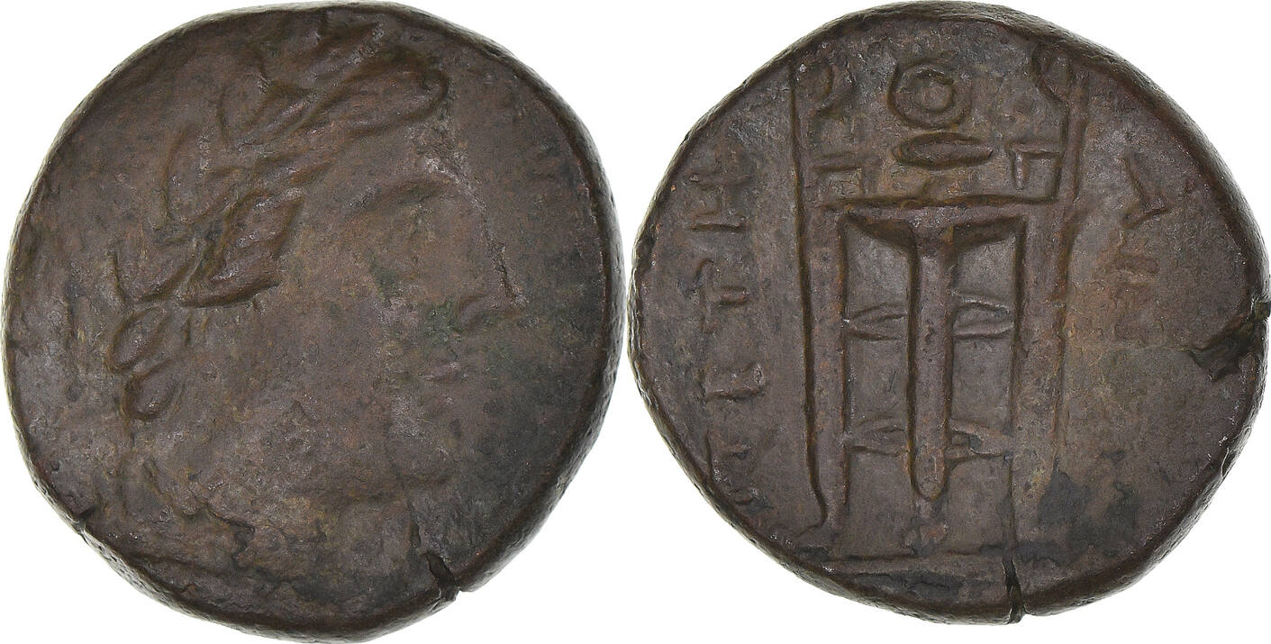 Æ late 3rd century BC Petel Coin, Bruttium, Petelia, Bronze, HN EF(40 ...