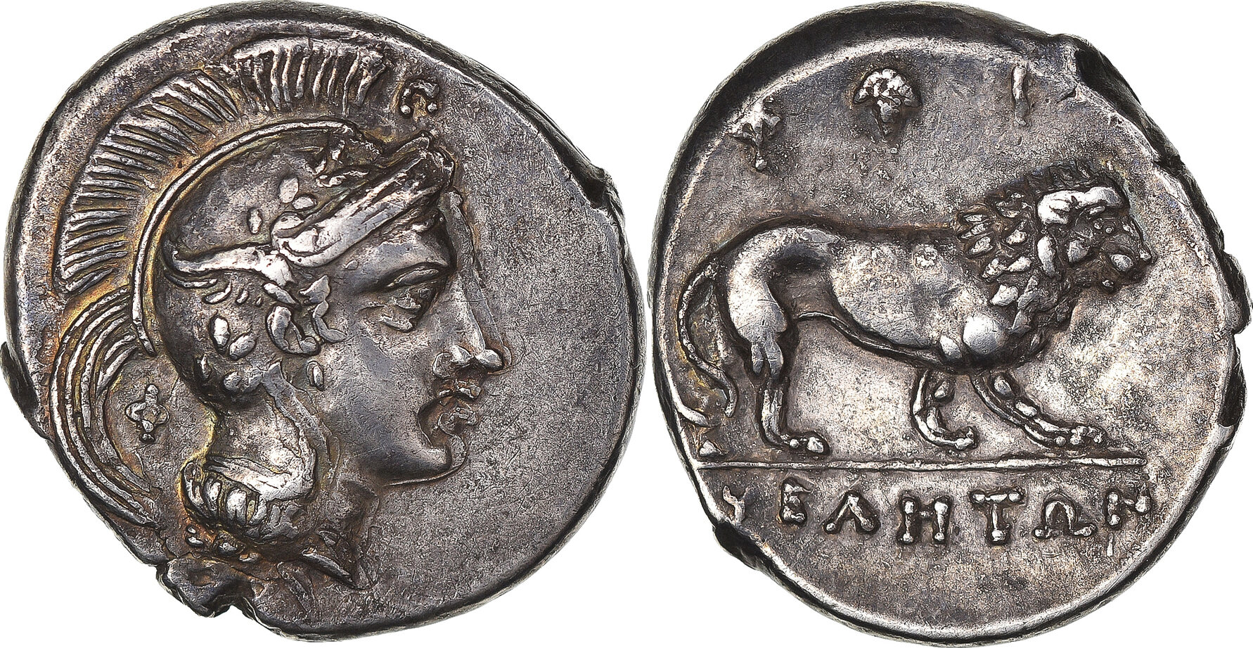 Stater 300-280 BC Velia Lucania, Velia, Silver, Pozzi:262, HGC:1-1319 ...