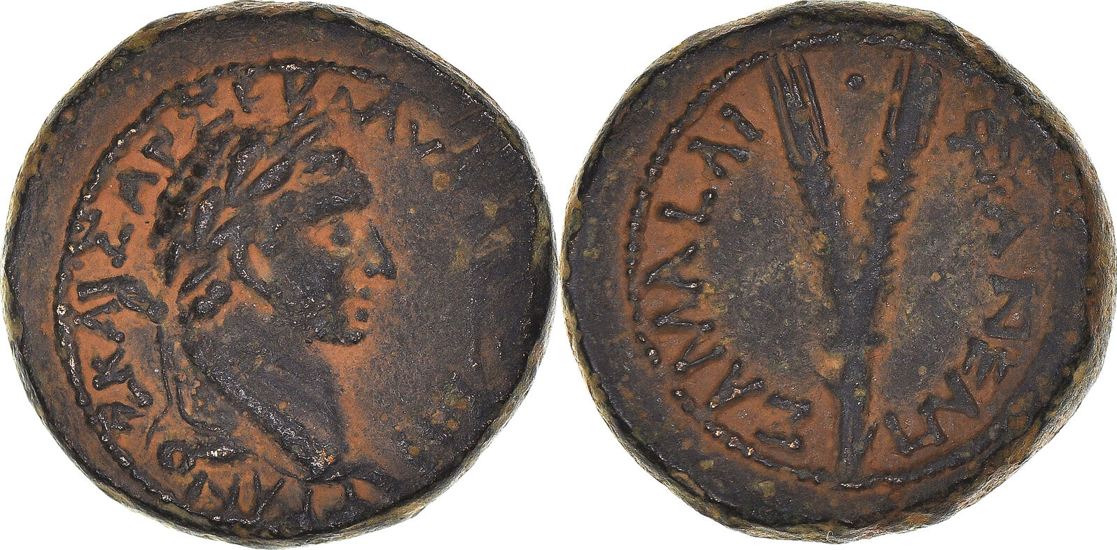 Æ Unit 82-83 Neapolis Judaea, Domitian, Neapolis, Bronze, RPC:II-2221 ...