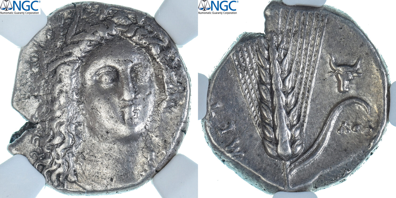 Nomos 330-280 BC Metapontum Lucania, Metapontum, Silver, NGC, HN Italy ...