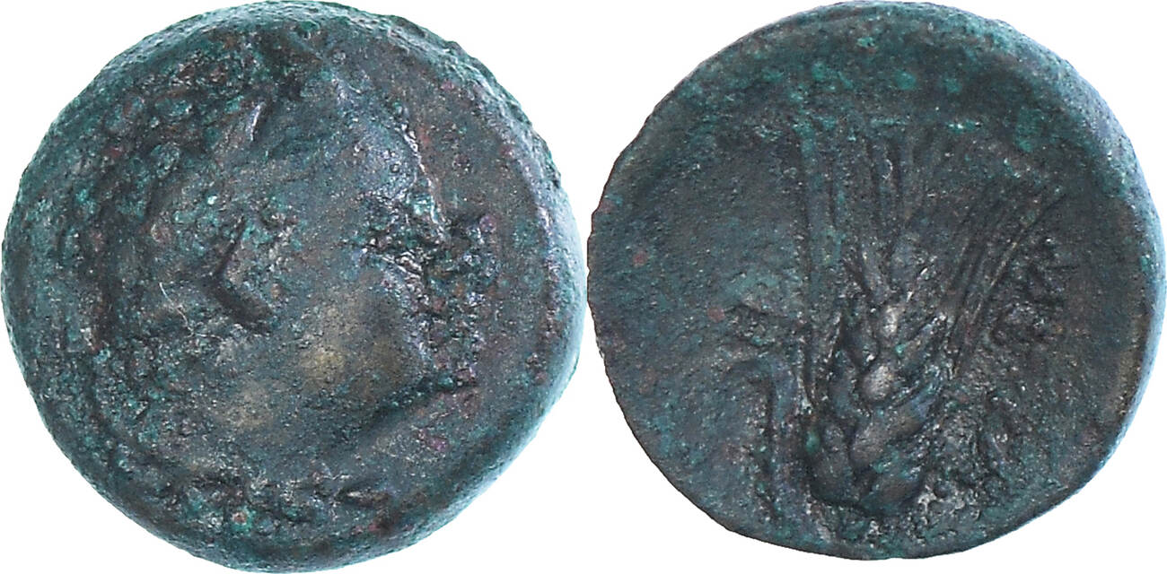 Æ ca. 300-250 BC Metapontio Coin, Lucania, Metapontion, Bronze, HN ...