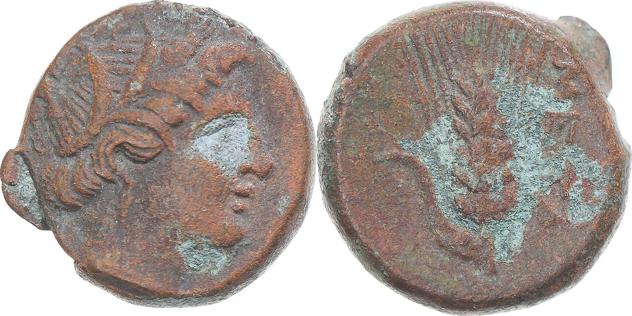 Æ ca. 300-250 BC Metapontio Coin, Lucania, Metapontion, Bronze, HN ...
