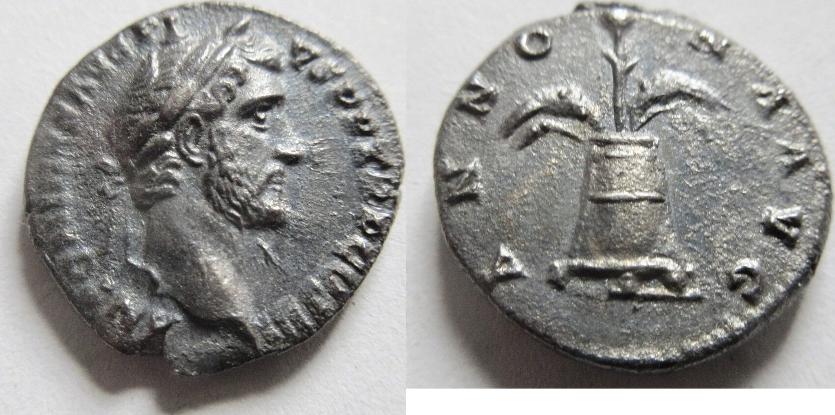 Rom 144 n. Chr Denar von Antoninus Pius Rs. Modius mit vier Ähren extremly fine | MA-Shops