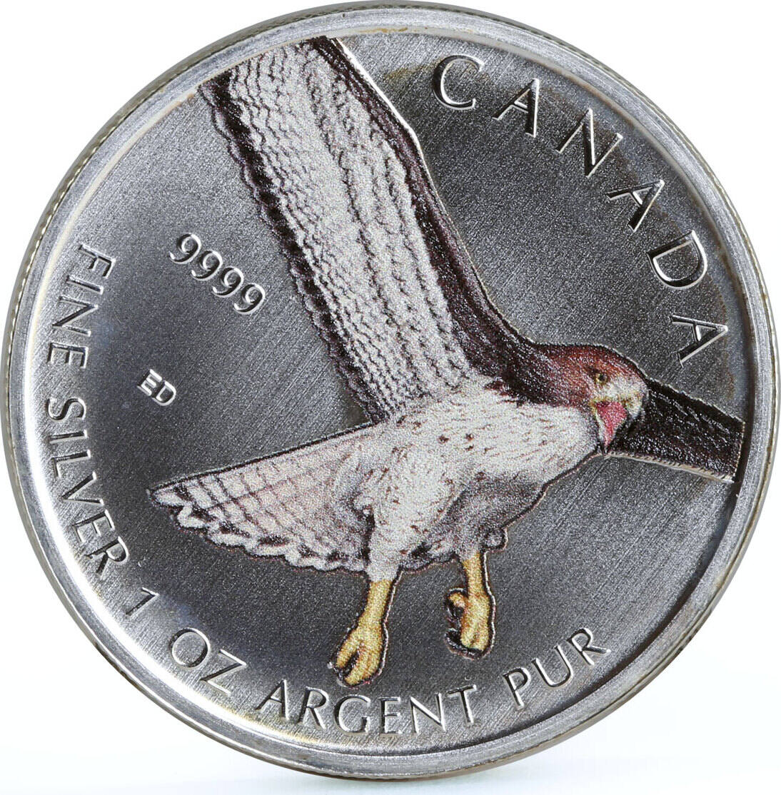 Canada 5 dollars Endangered Wildlife Red Tailed Hawk Bird colored Ag ...
