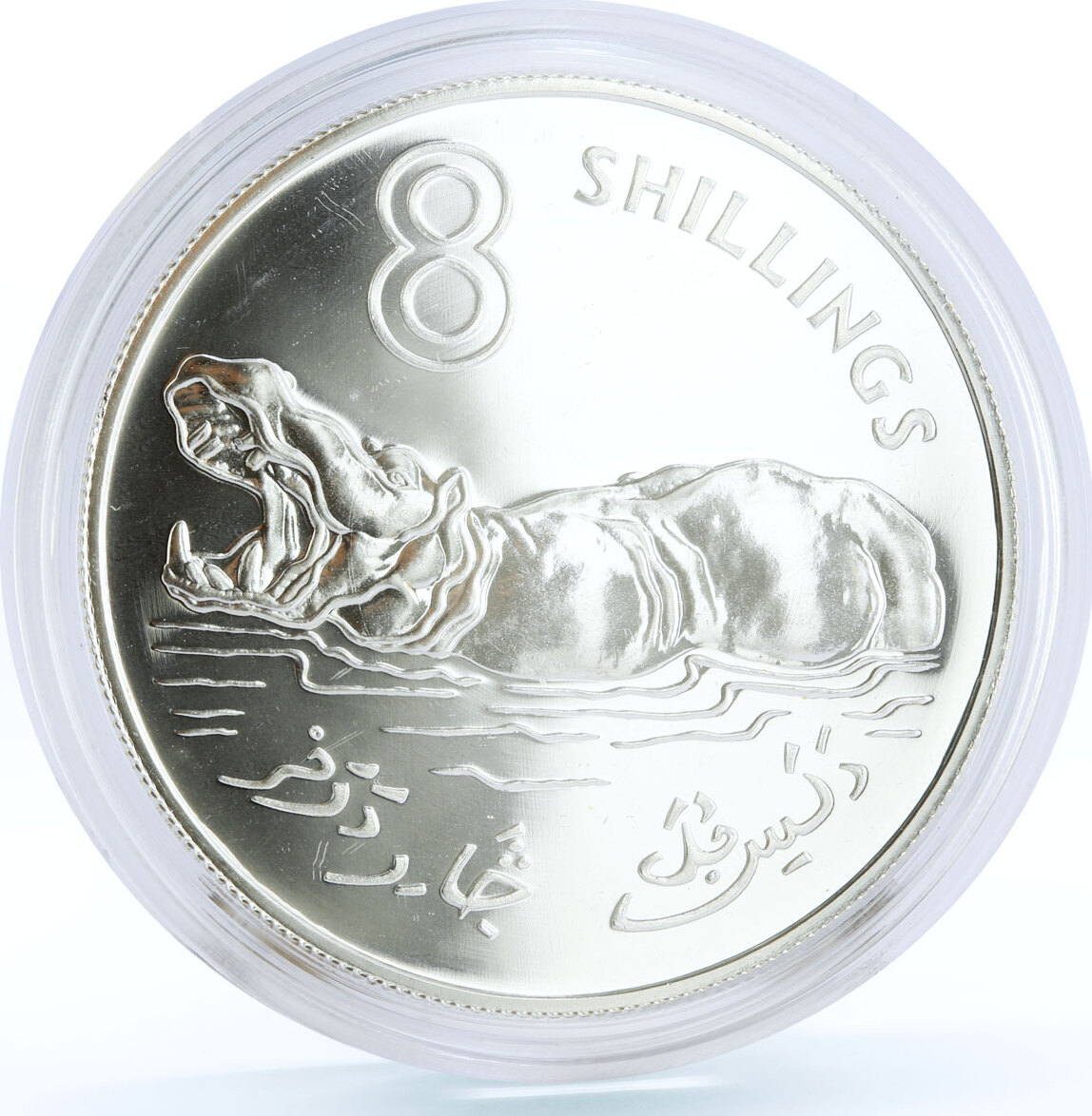 Gambia 8 shillings Endangered Wildlife Hippopotamus Fauna proof silver ...