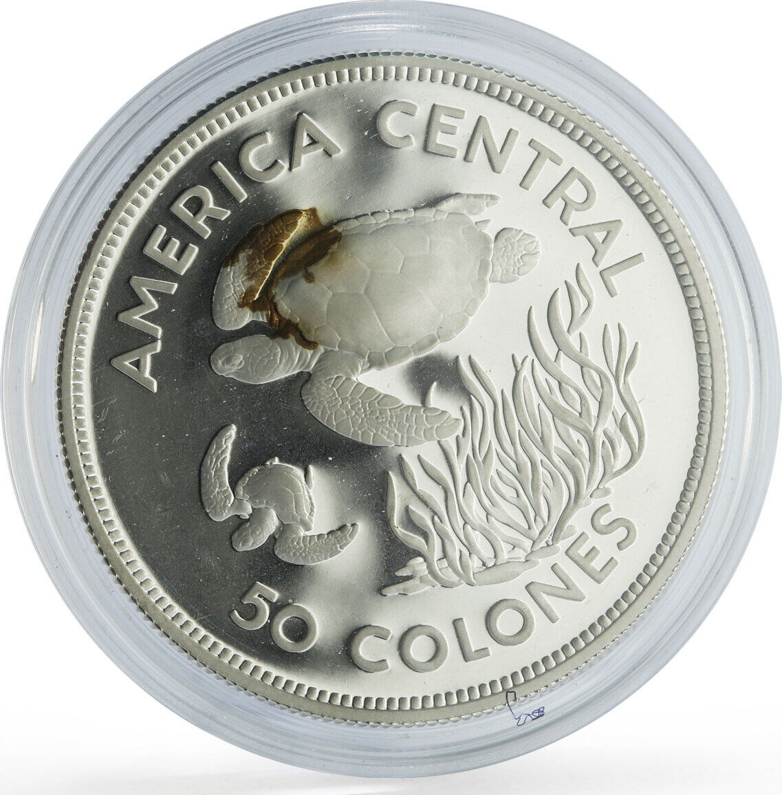 Costa Rica 50 colones Conservation Wildlife Turtle Fauna proof silver ...