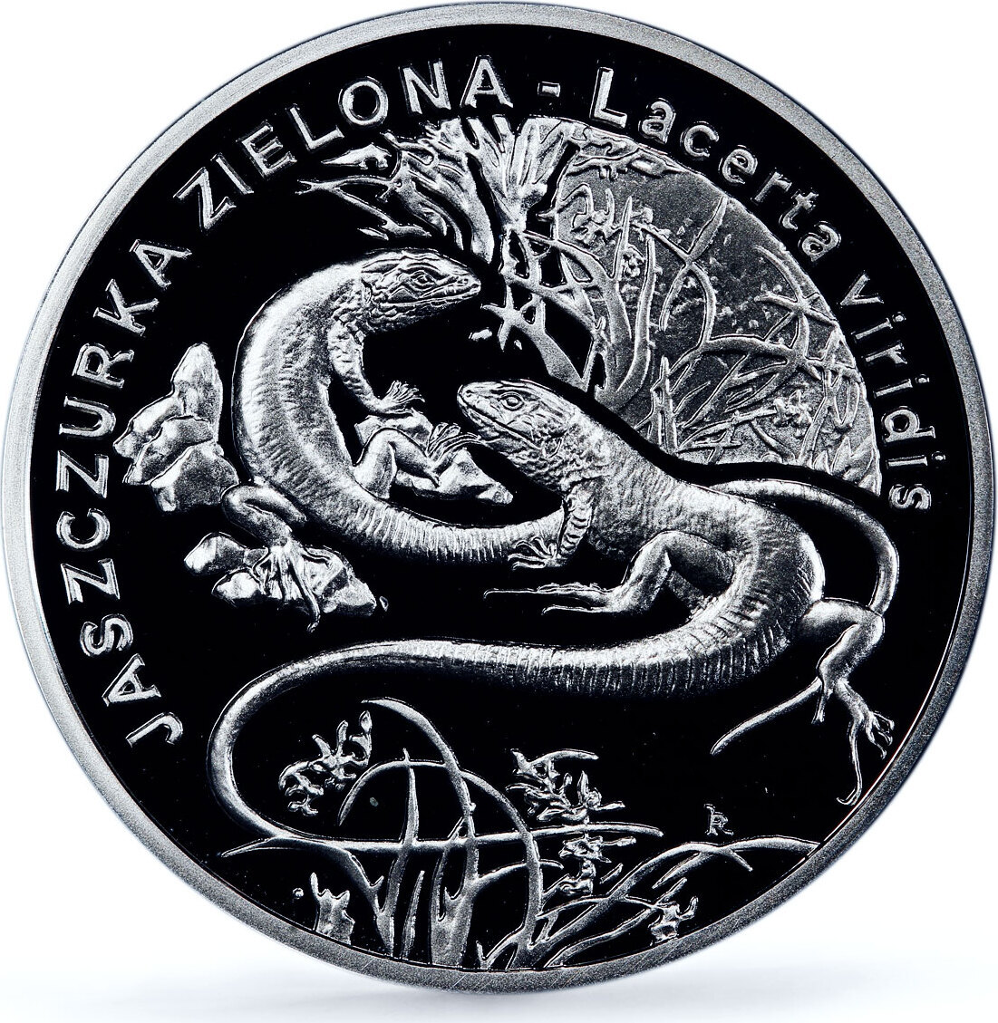 Poland 20 zlotych Jaszczurka Lizards Animals Fauna PR70 PCGS silver ...