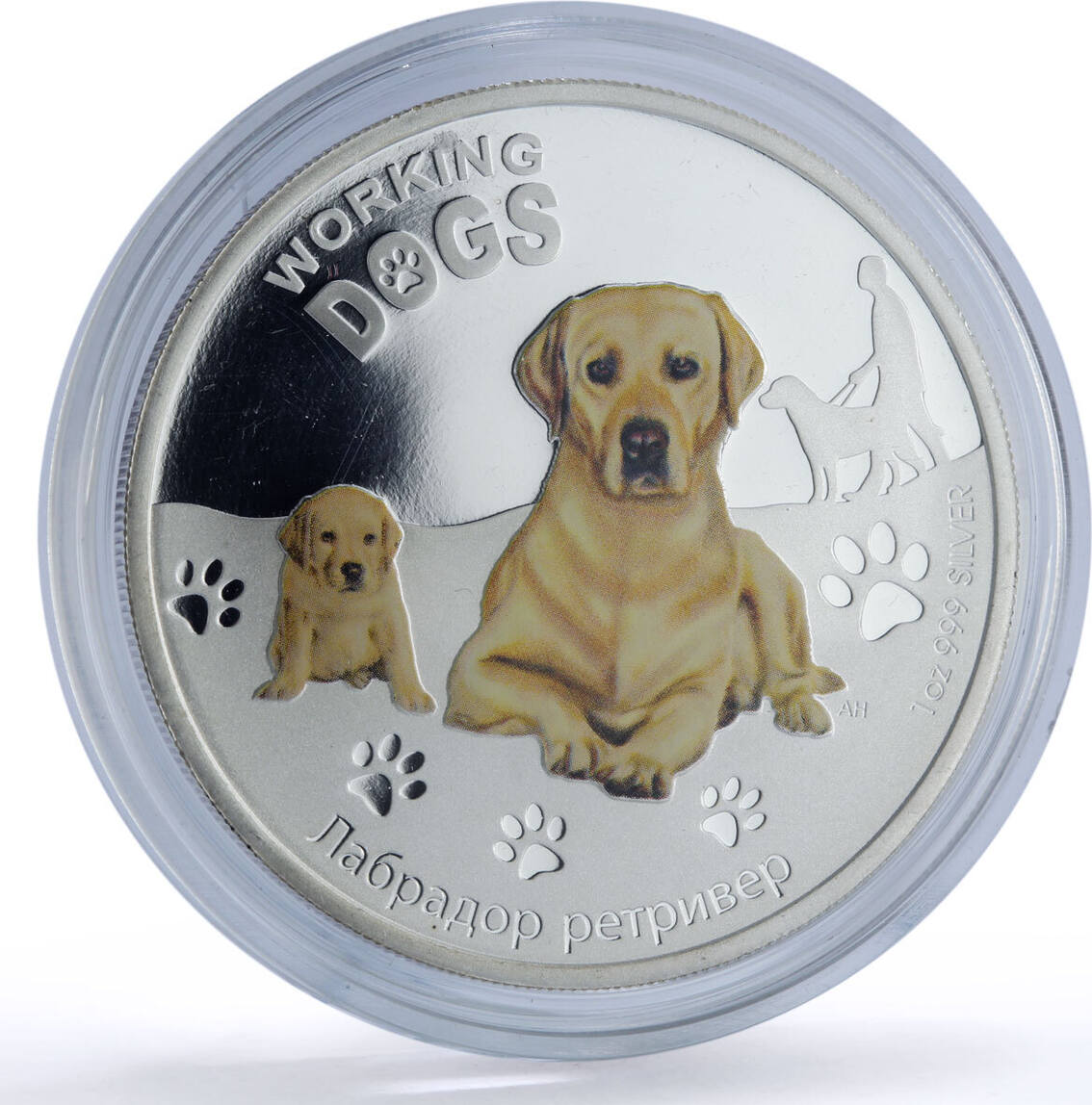Tuvalu 1 dollar Golden Retriever Working Dogs Color proof silver coin ...