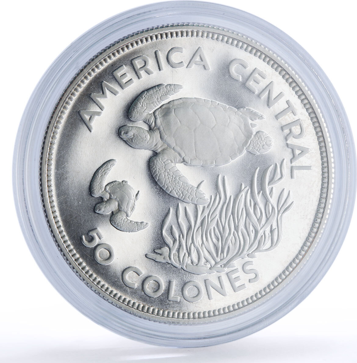 Costa Rica 50 colones Green Turtle Conservation KM-200a Fauna proof ...