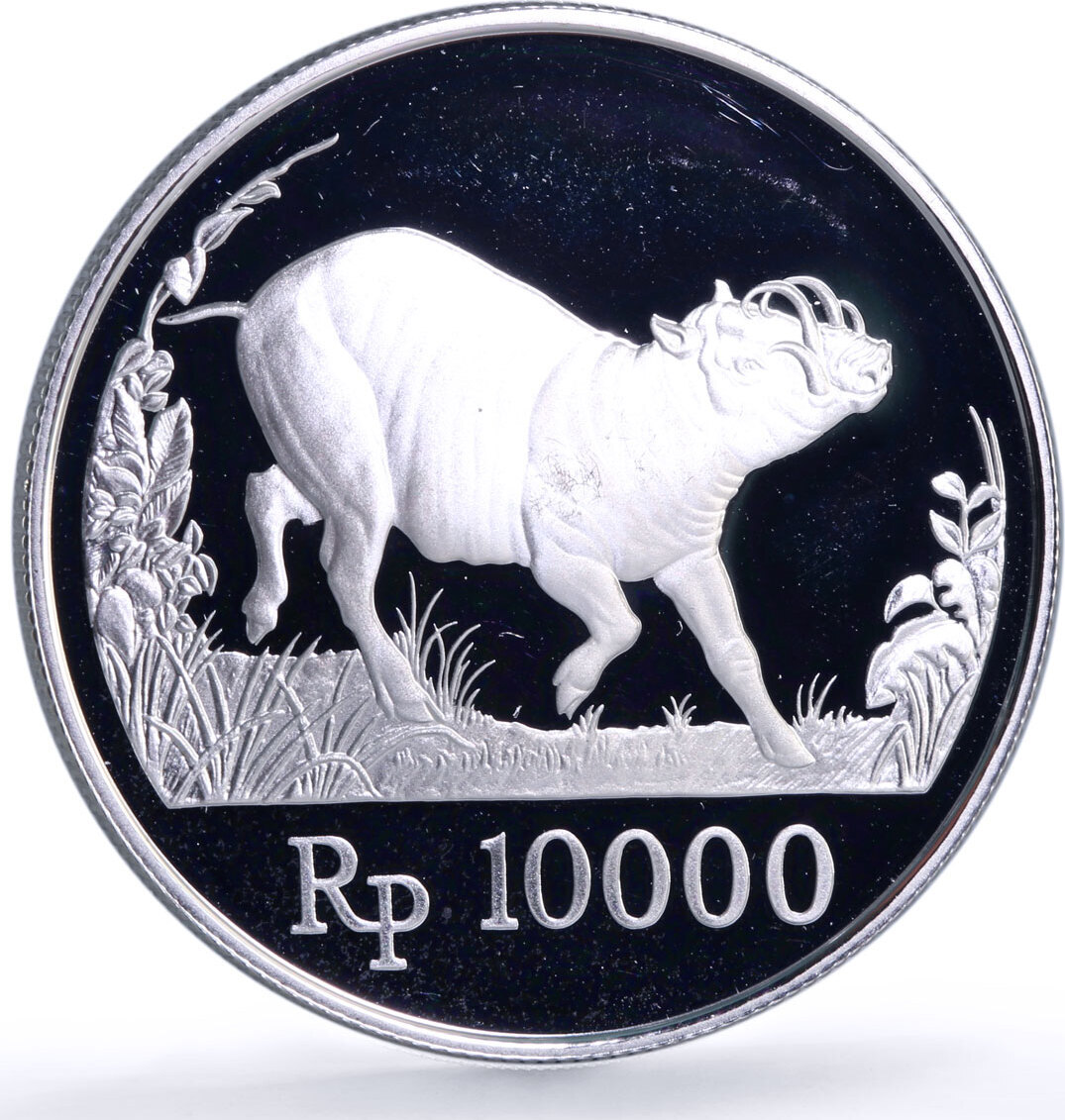 Indonesia 10000 rupiah Babi Rusa Wildlife KM-45 Pig Fauna proof silver ...