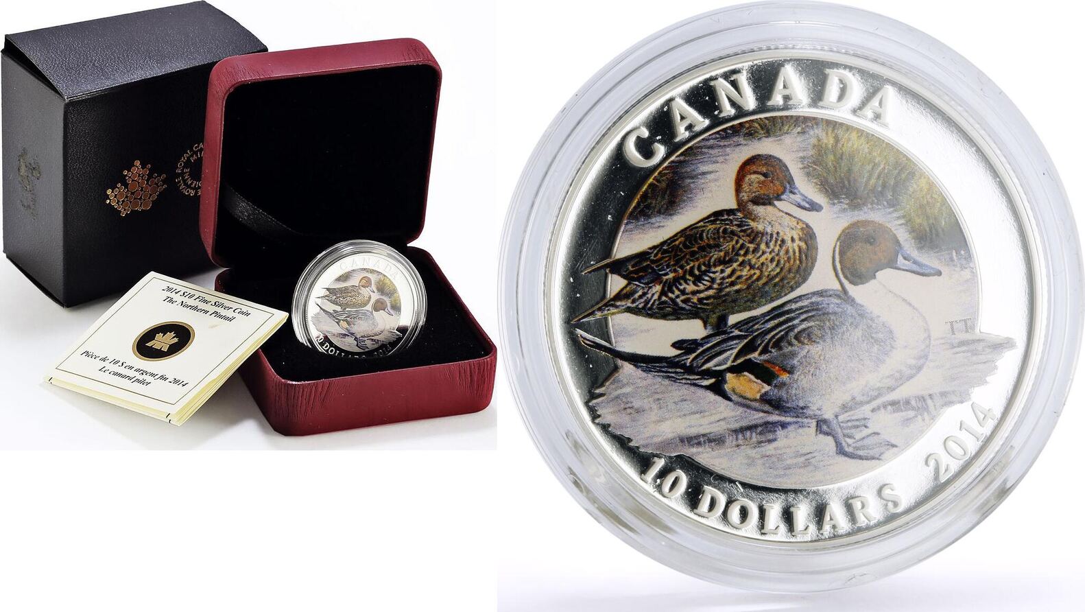 Canada 10 dollars Conservation Wildlife Pintail Duck Bird Fauna proof ...