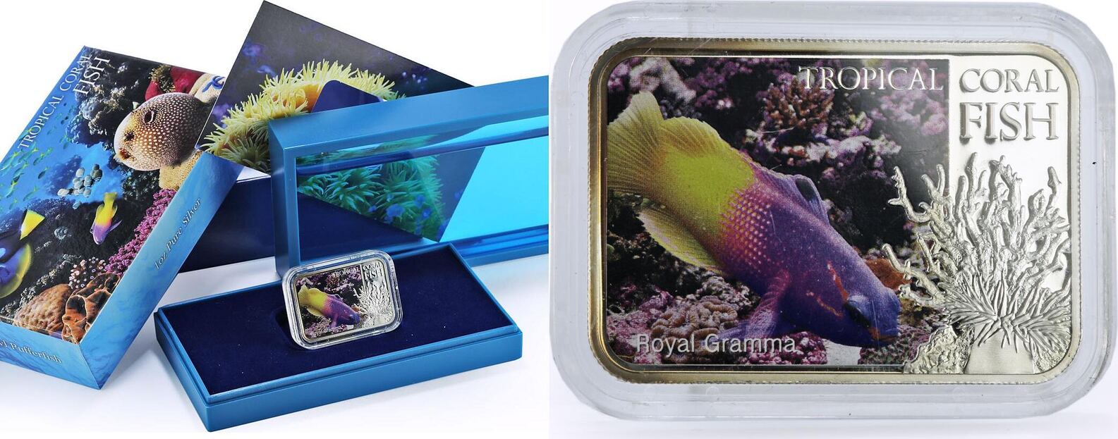 Niue 1 dollar Marine Life Tropical Fish Royal Gramma Fauna silver coin ...