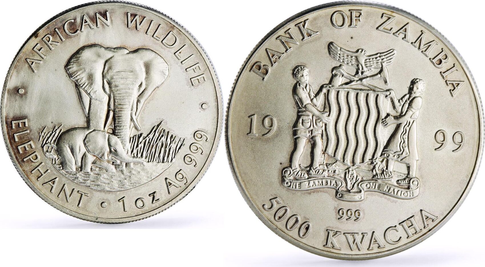 Zambia 5000 kwacha African Wildlife Elephant Fauna Matte silver coin ...