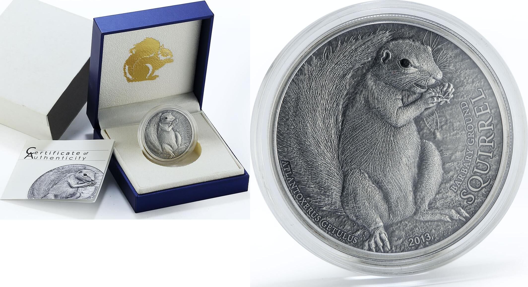 5 dollars Palau 1 dollar The Barbary Ground Squirrel silver coin 2013 ...