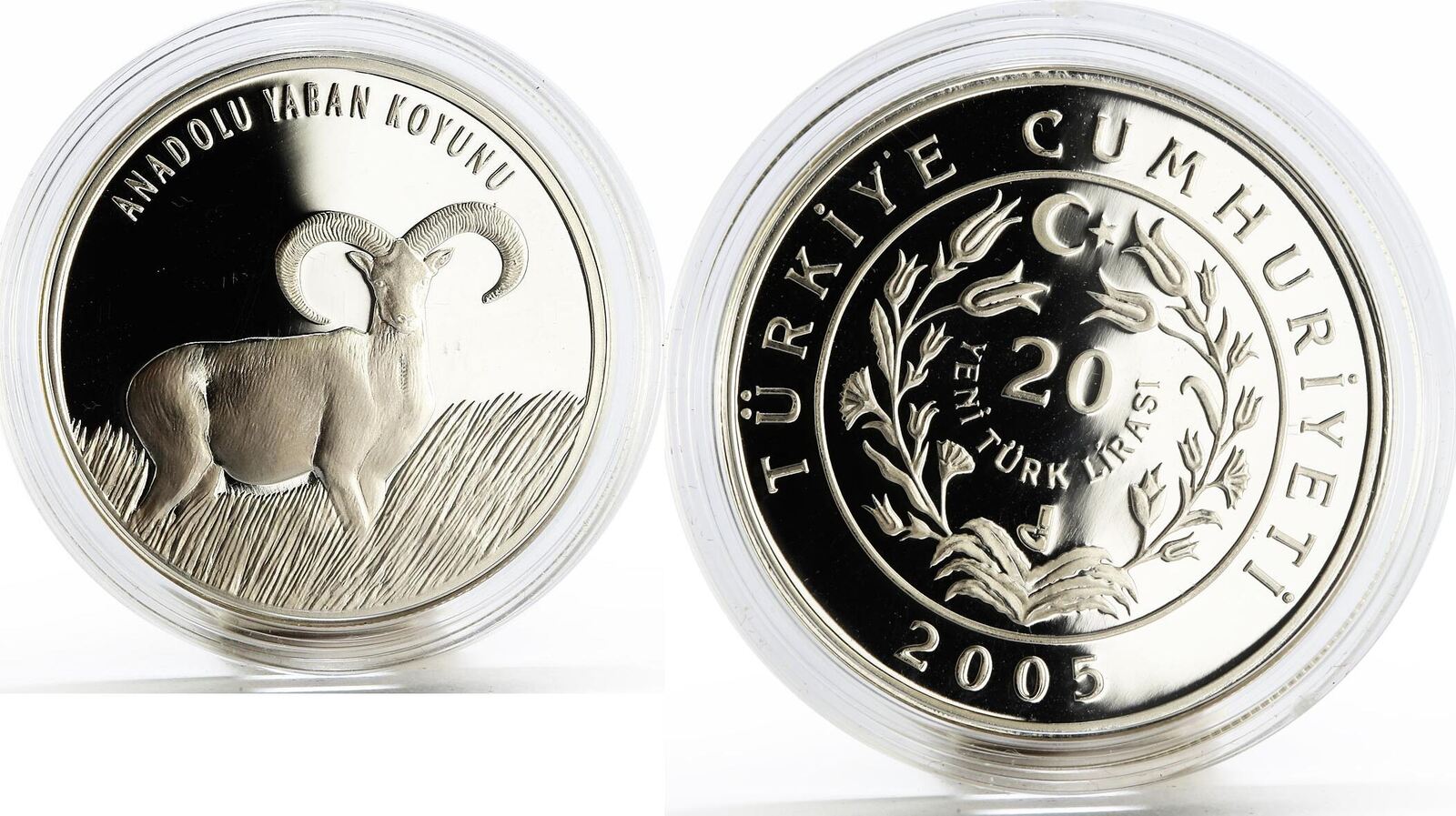 Turkey 20 lira Animal series Anatolian Mouflon proof silver coin 2005 ...