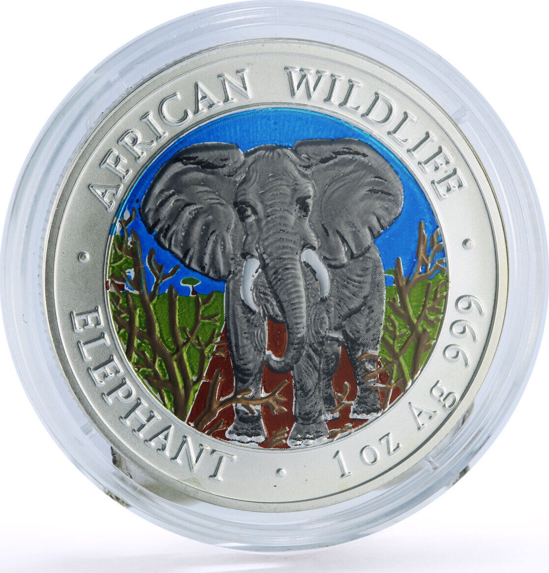 Somalia 1000 shillings African Wildlife Elephant Fauna colored silver ...