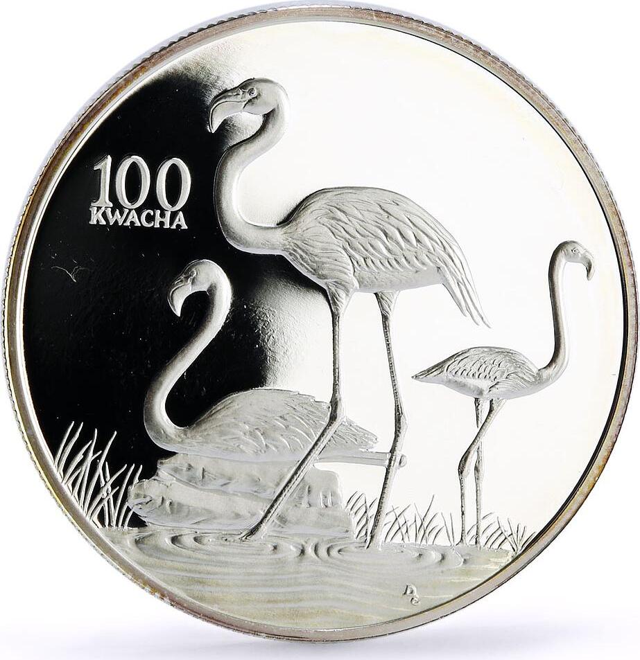 Zambia 100 kwacha Conservation Wildlife Flamingo Bird Fauna silver coin ...