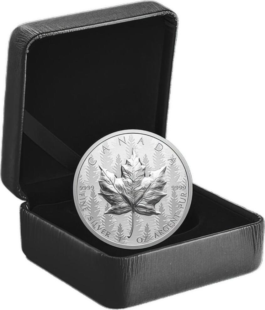 Canada 20$ 2024 MAPLE LEAF Forest SML Ultra High Relief 1 oz Silver ...