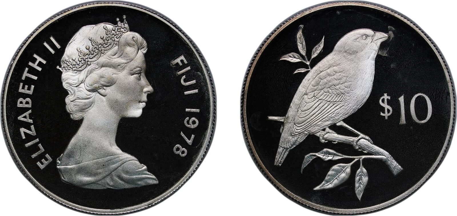 Fiji Republic 1978 10 Dollars - Elizabeth II (Conservation) Silver ...
